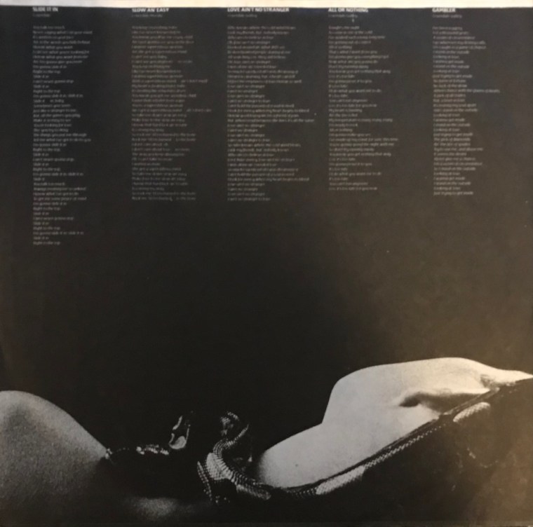 Whitesnake – ‘Slide it In’ – Album Review (The David Coverdale Series ...